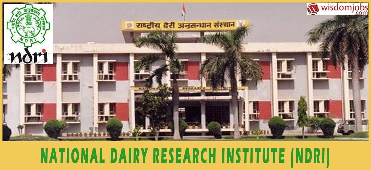 News – Dairy Industry Expo